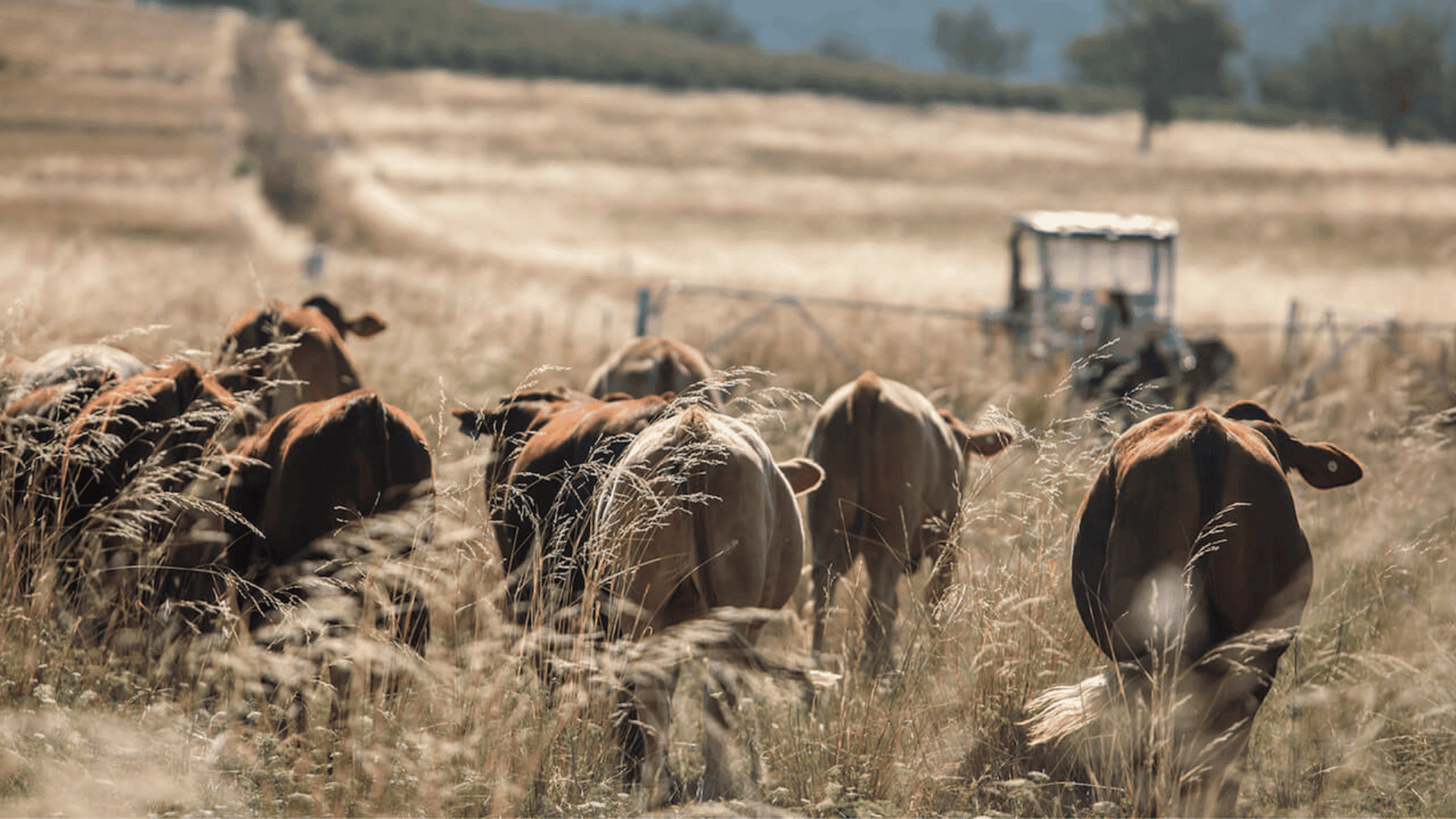 Home | Powerhouse Technology